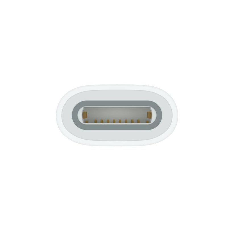 USB-C to Apple Pencil Adapter – Machines